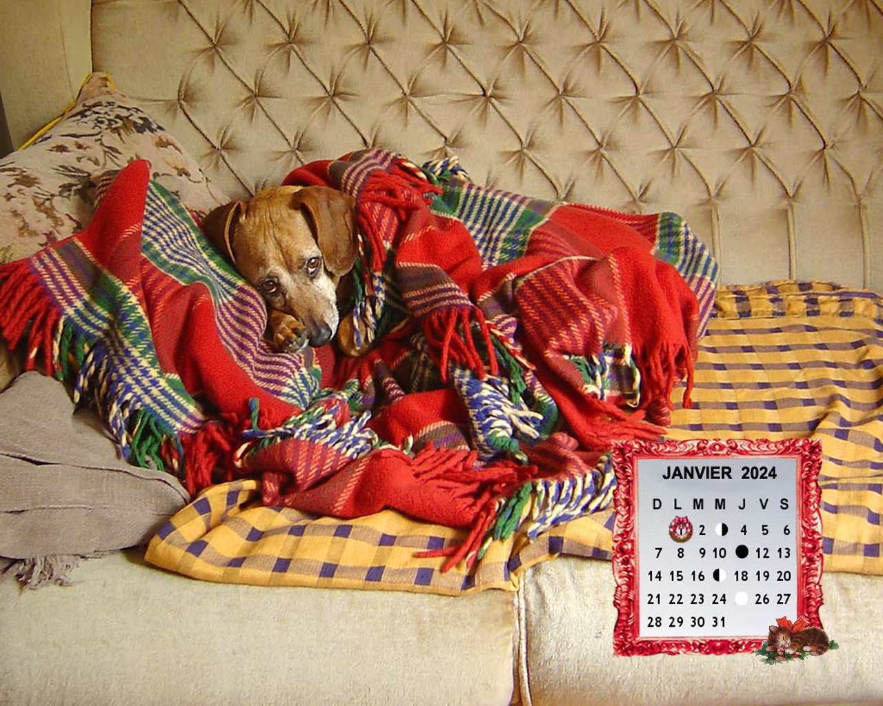 Fonds Écran Calendriers Janvier 2024 – Belle Picotine