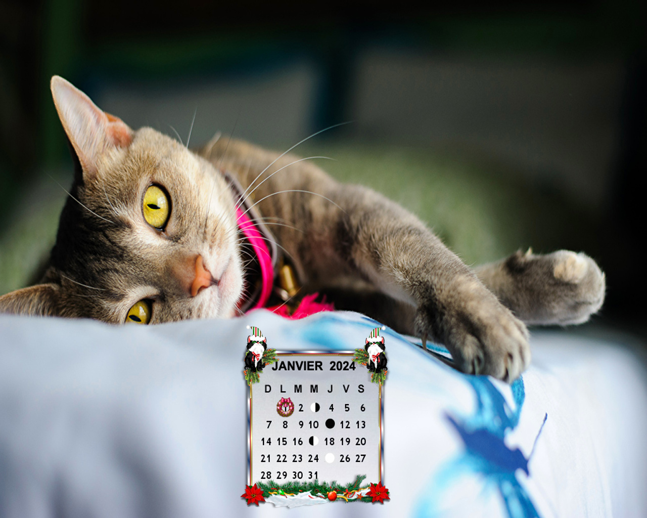 Fonds Écran Calendriers Janvier 2024 – Belle Picotine