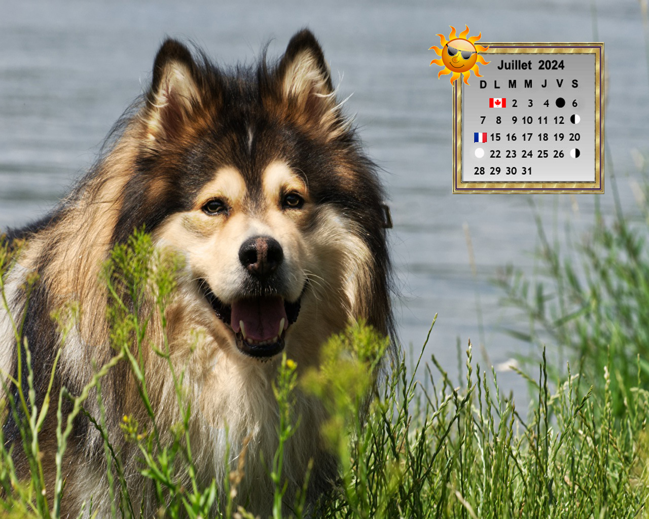 Belle Picotine Fond Ecran – Calendrier Fond Écran Chez Jackie – BEDN