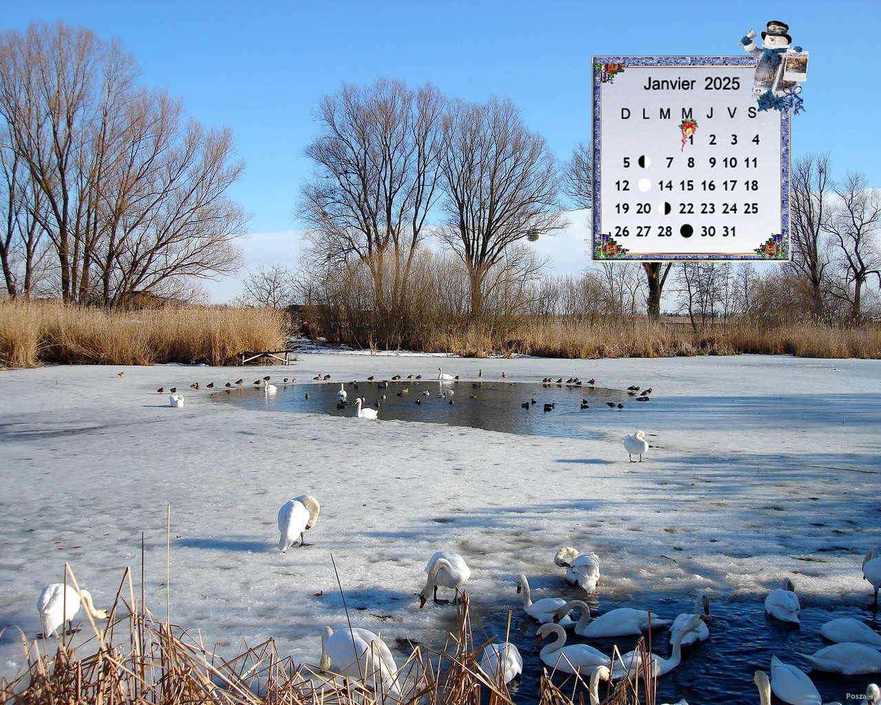 Fonds d’écran Calendriers Janvier 2025 – Belle Picotine